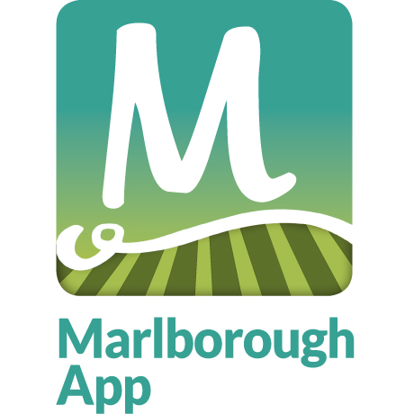 Sounds Air NZ Airline - 300+ Flights Across NZ Each Week - Sounds Air